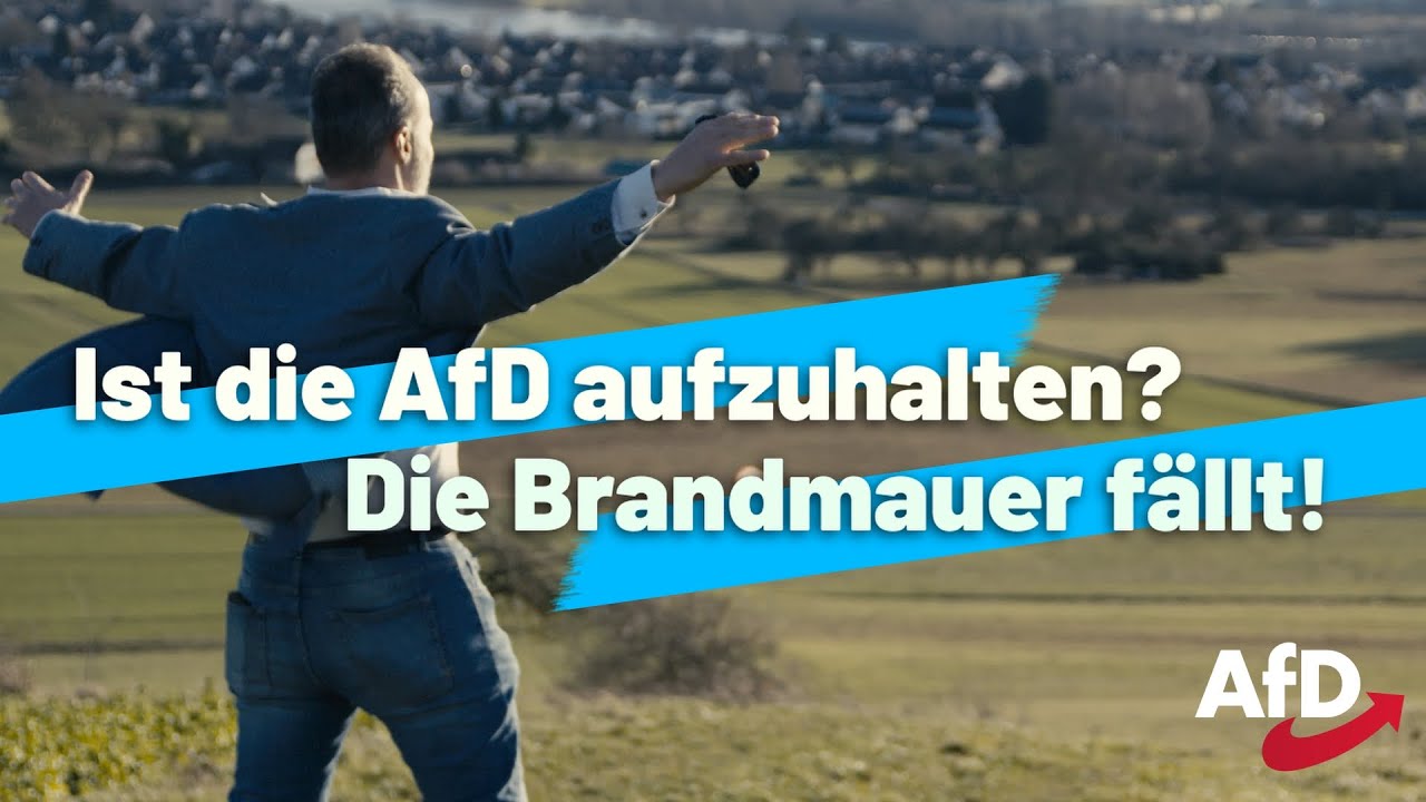 Analyse und Vorstellung der #AfD Punkte im Jahr 2025 - YouTube