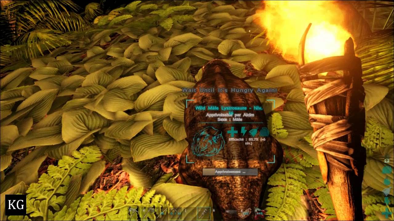 Ark Survival Evolved - La Terre des Dino - Episode 4 - YouTube