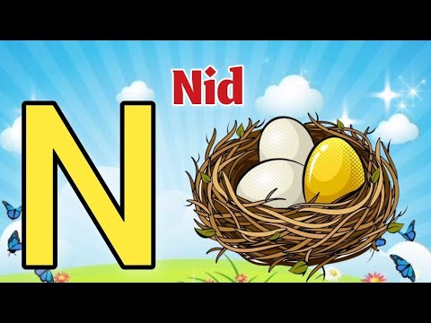 Apprendre l'alphabet français/les mots commençant par la lettre N # ...