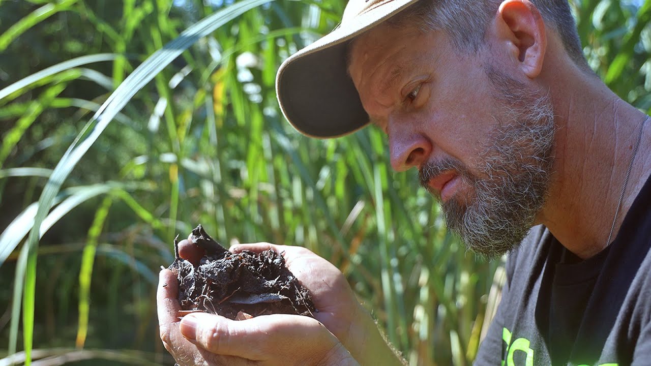 Recreating Terra Preta: The Search for Ancient Composting Secrets - YouTube