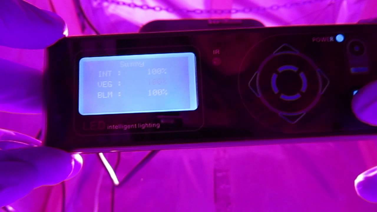 Intelligent Solar Blaster 90watt LED Grow Light - YouTube