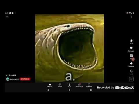 Meme del bloop diciendo A créditos @urbans1207 - YouTube