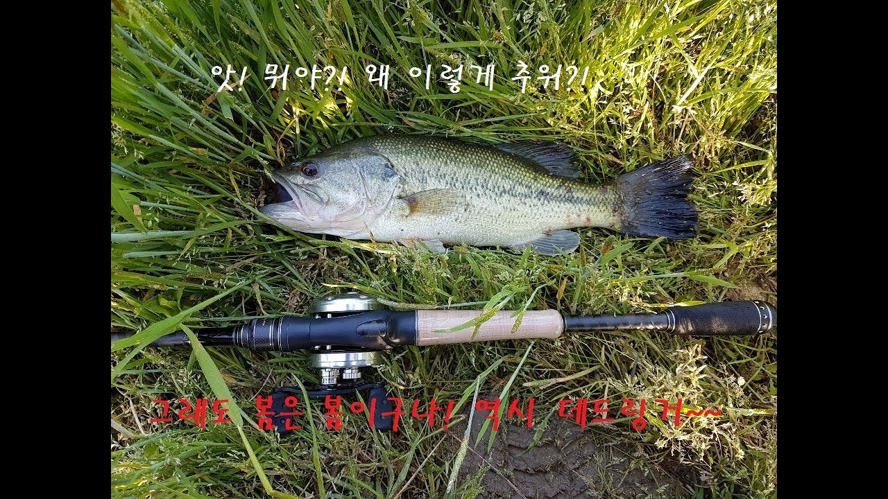 차가운 봄날에도 배스는 데드링거를 좋아해~ Bass fishing season on in Korea - YouTube