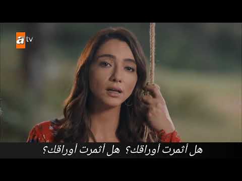 Sen Anlat Karadeniz:  Öykü Gürman - Oy Pelutler مترجمة للعربية