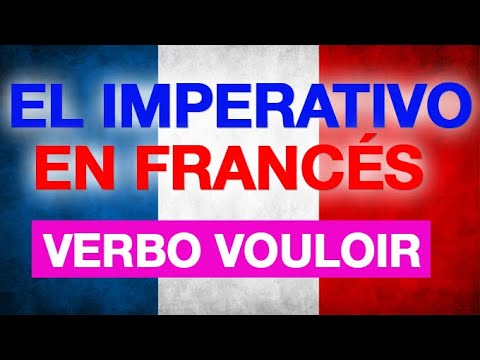 El IMPERATIVO en FRANCES 🚀 Verbo VOULOIR - L'impératif en français ...
