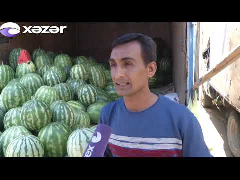 Qarpız-yemiş niyə bahadır?