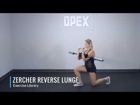 Zercher Reverse Lunge - OPEX Exercise Library - YouTube