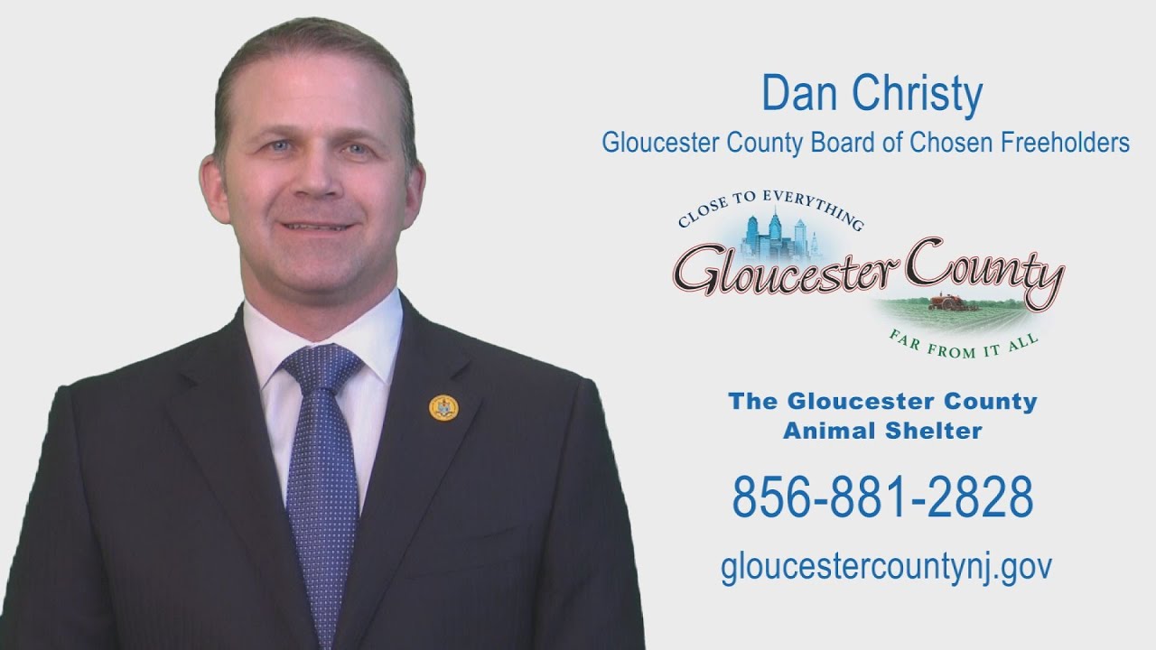 Dan Christy - Gloucester County Animal Shelter - YouTube