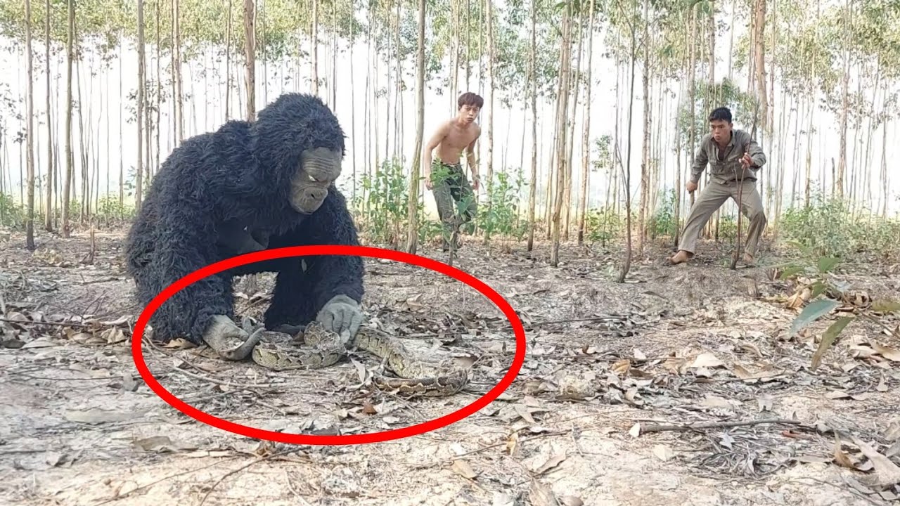 King kong and the Hunter escape...-King Monster - YouTube