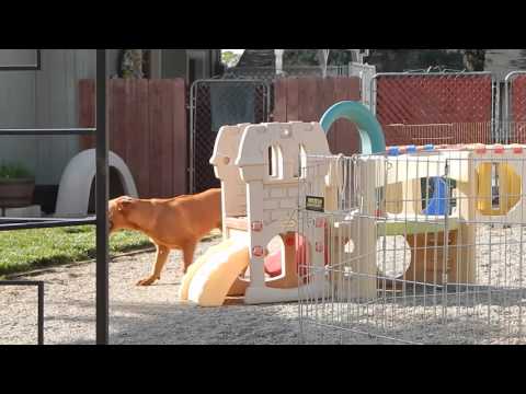 04 20 16 Butch Ollie 1