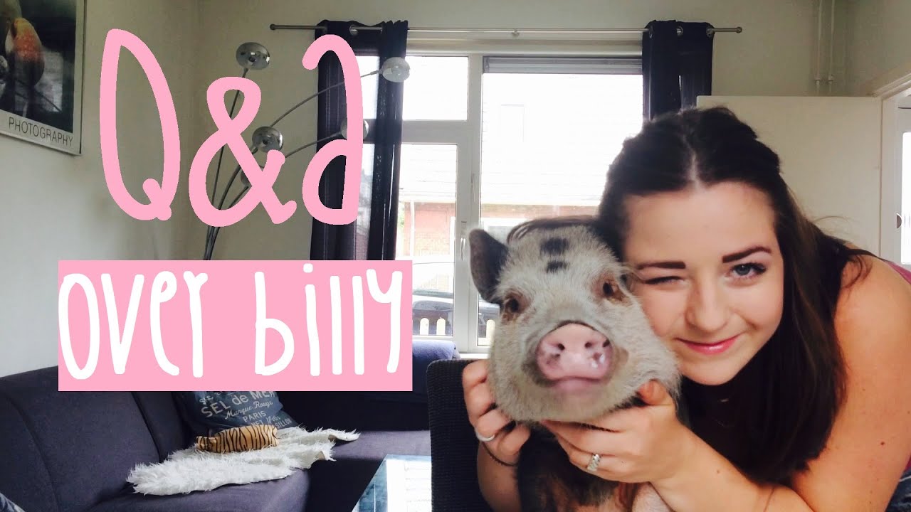 Q&A: Questions & Answers meest gestelde vragen over een minivarken als ...