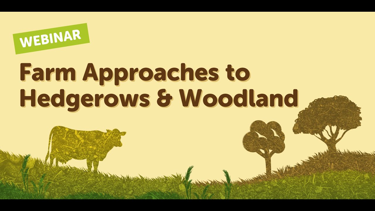Farm Approaches to Hedgerows and Woodland - YouTube