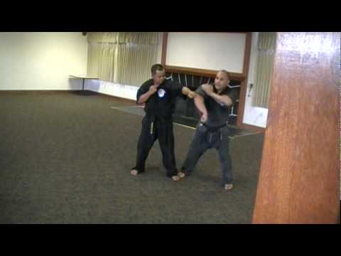 Kempo Jutsu Kai at the Martial Arts Summit in Hilo - YouTube