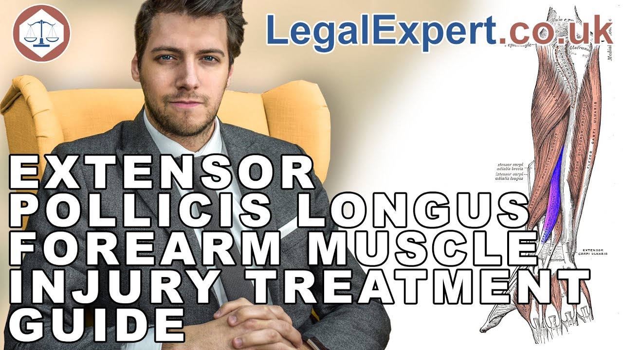 Extensor Pollicis Longus Forearm Muscle Injury Treatment Guide ( 2019 ...