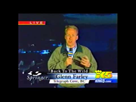 KING 5 (NBC Seattle) / NBC Nightly News: "LIVE: Springer the Orca ...