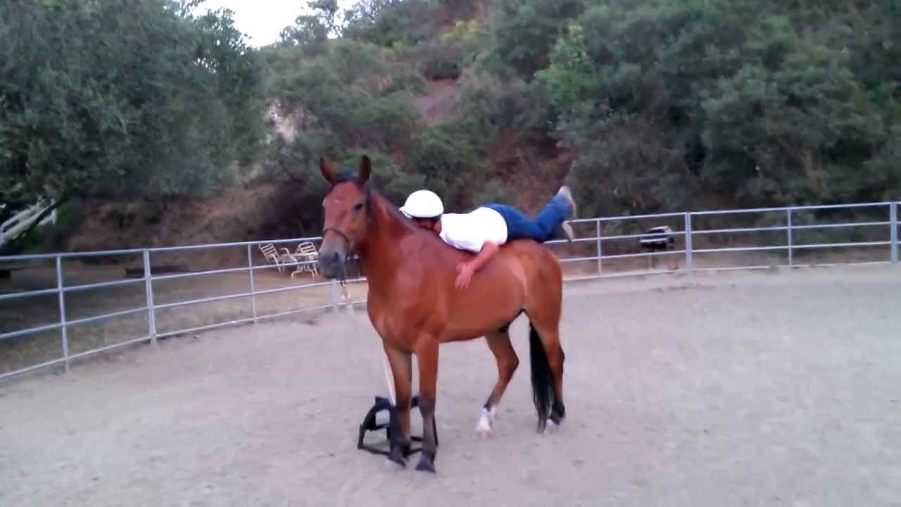 human curry comb 3 - YouTube