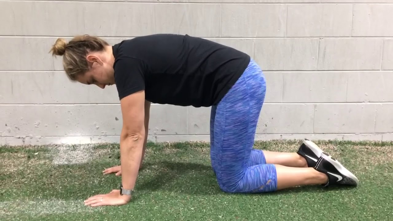 Quadruped Segmental Flexion/Extension - YouTube