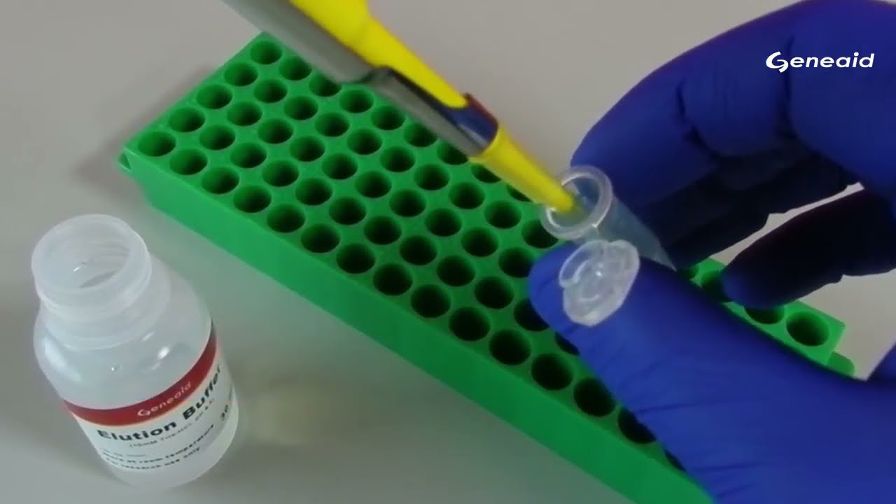 Large DNA Fragments Gel Extraction Kit - YouTube