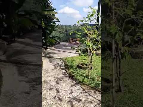 Sayan Point Ubud Bali - YouTube