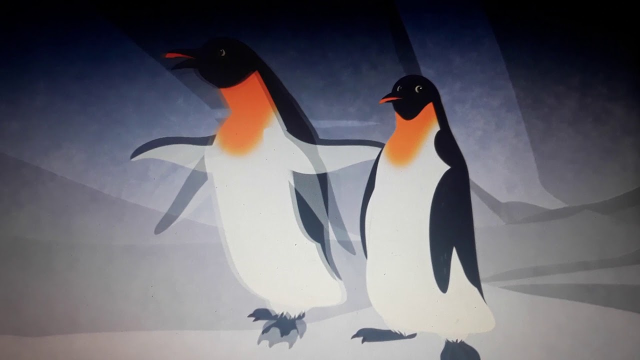 Penguins Squawking. - YouTube