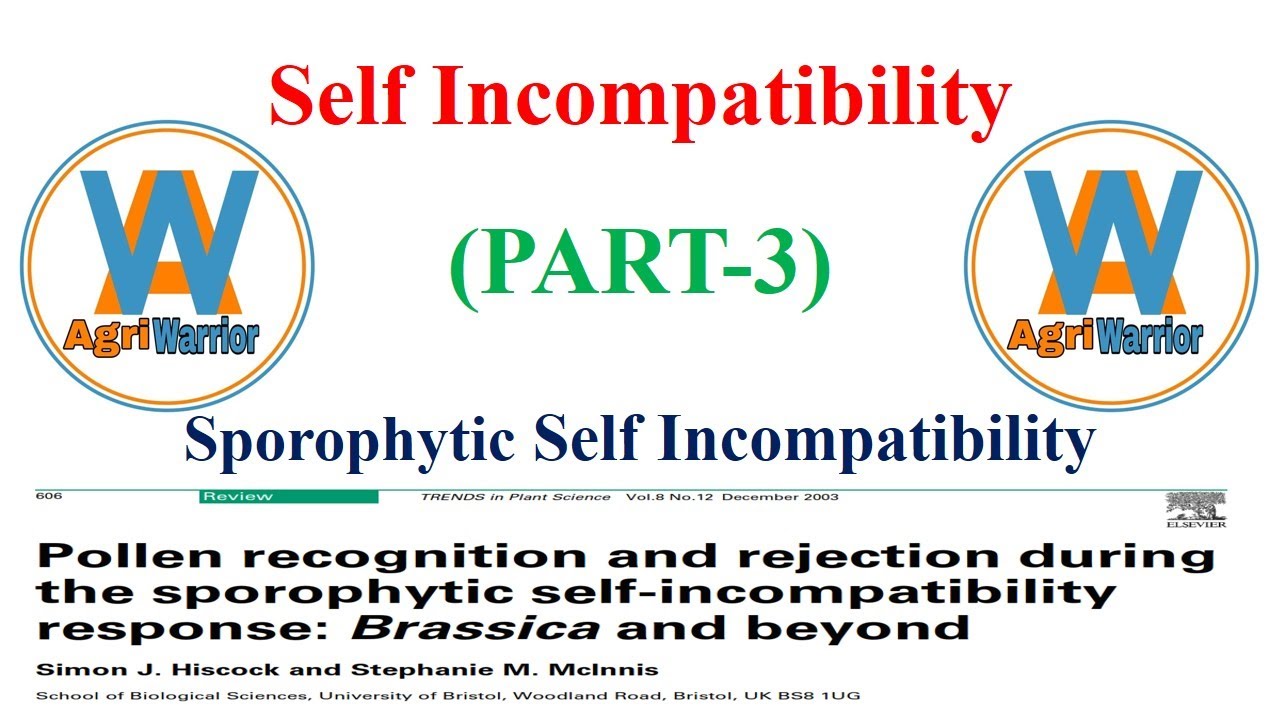 Sporophytic Self Incompatibility/Self Incompatibility (PART-3) - YouTube