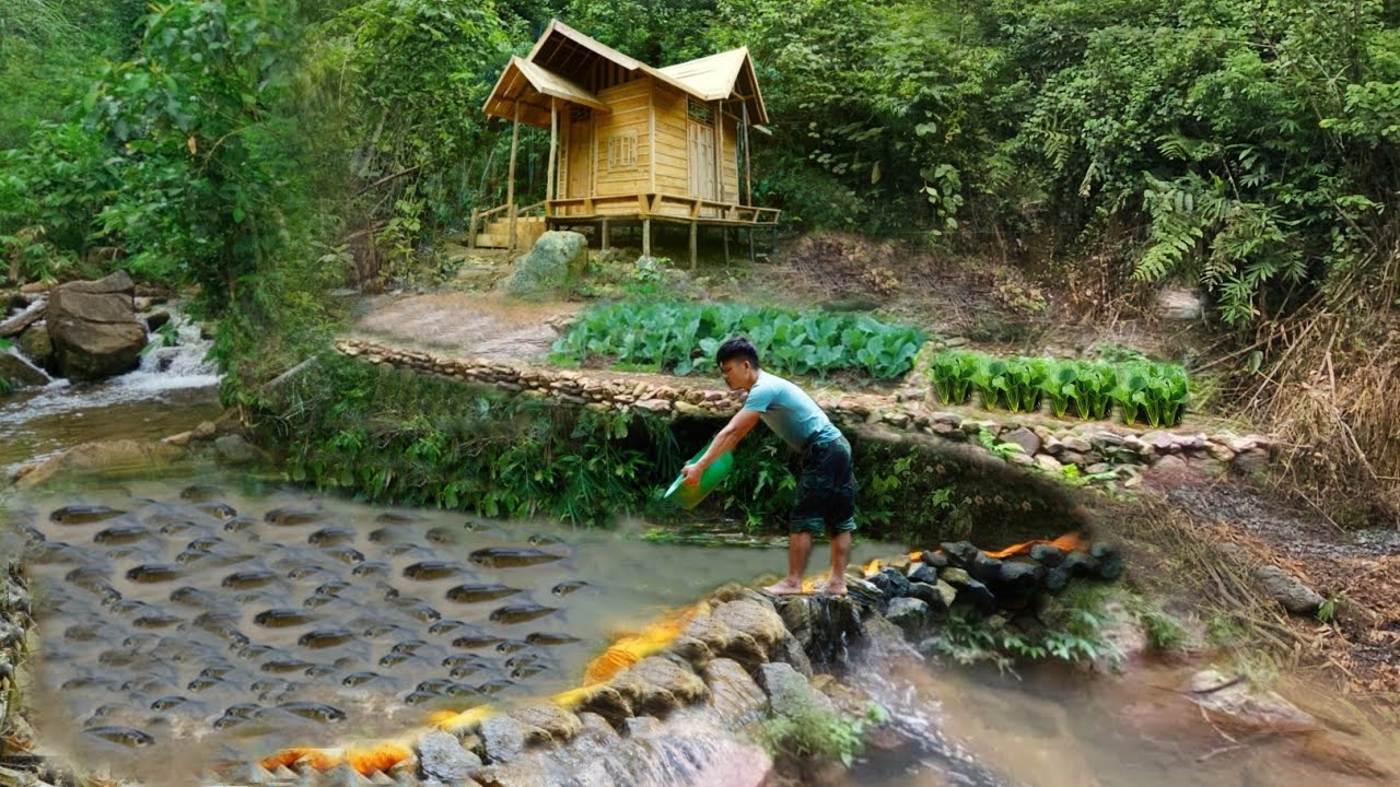 Build a stream into a pond, raise fish, garden. 2 Months Off Grid Cabin ...