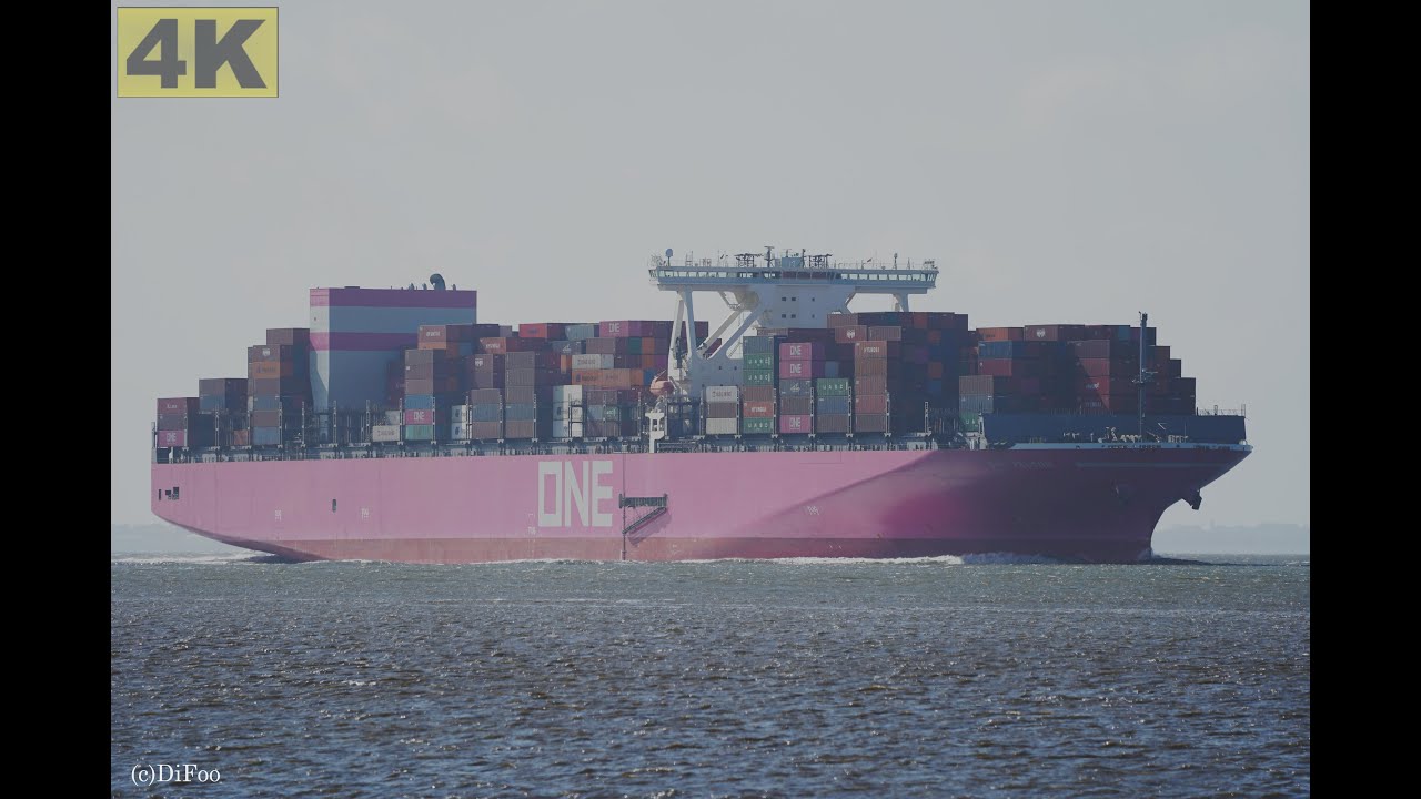 ONE FALCON - Shipspotting Germany 🇩🇪 IMO 9741425 - River Elbe near City ...