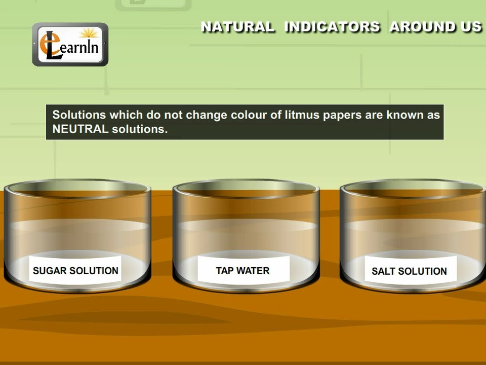 Natural Indicators Explained With An Experiment Elementary Science natural-indicators-explained-with-an-experiment-elementary-science