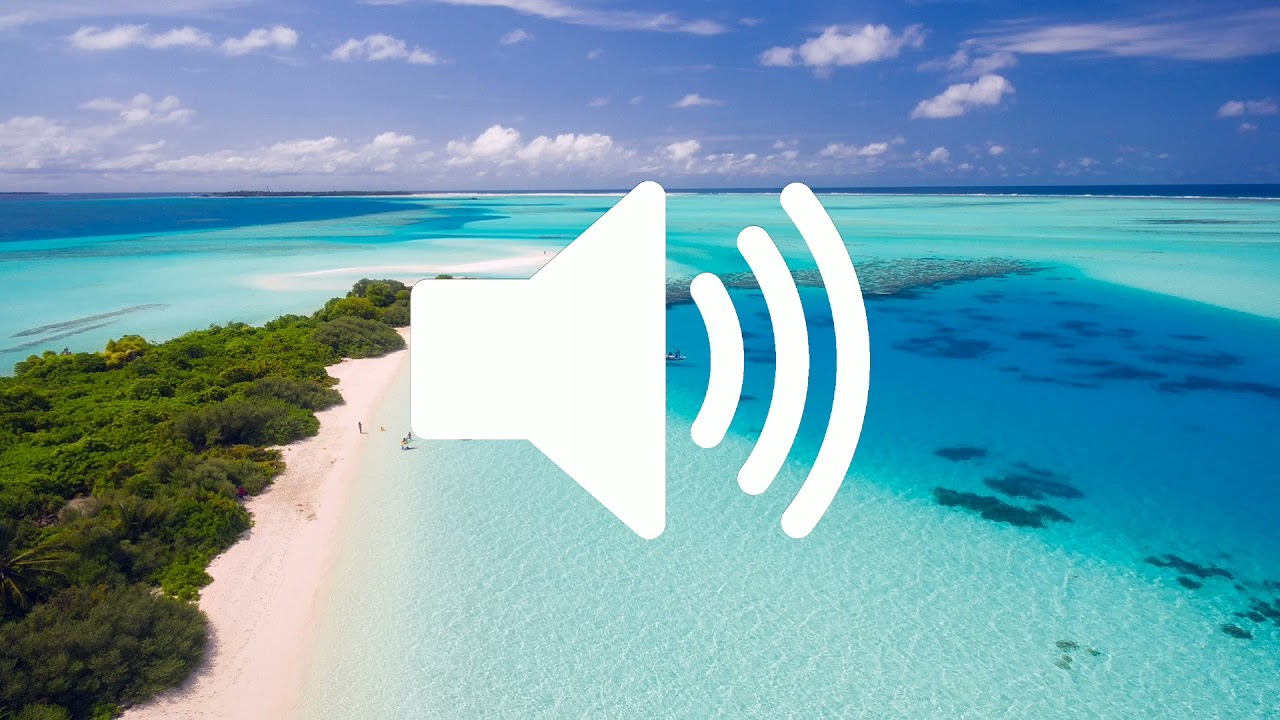 Sea waves with birds - Sound Effect [HQ] - YouTube