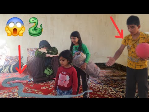 “Family Trip Turns into a Nightmare! 😱 Kids See Something Terrifying…”