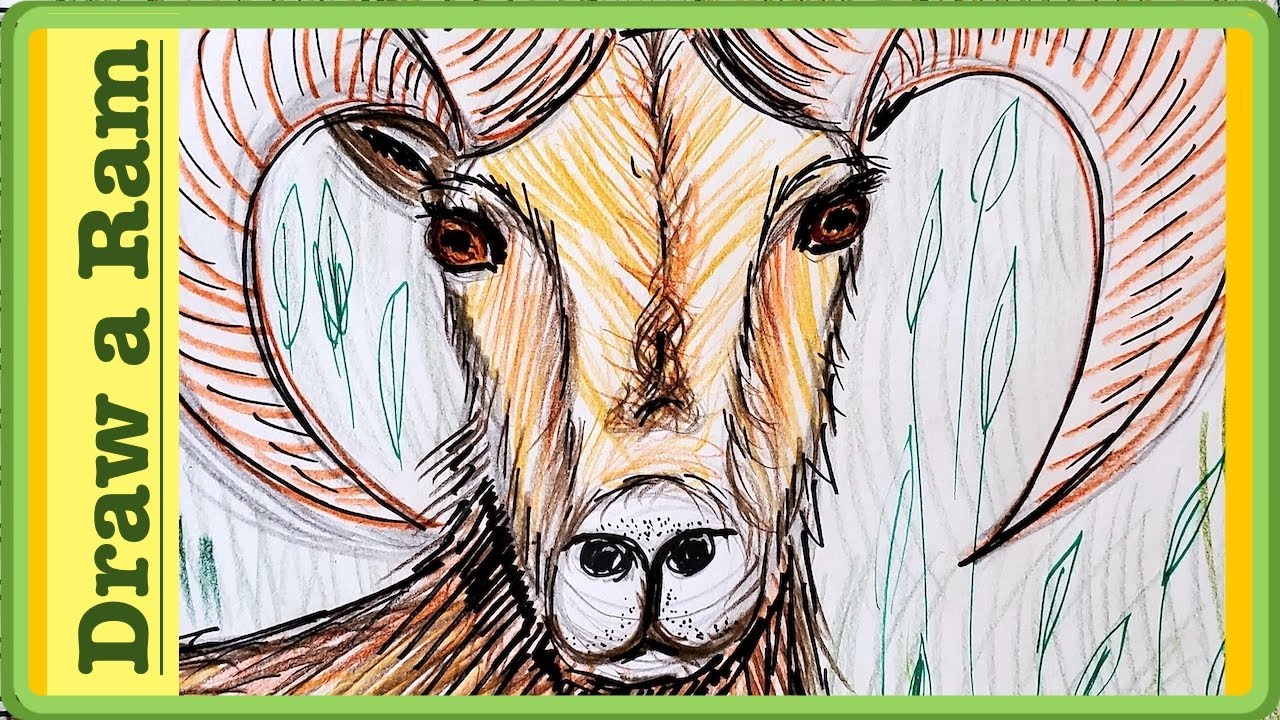 How to draw a Ram | Ram | Learning how to draw animals - YouTube