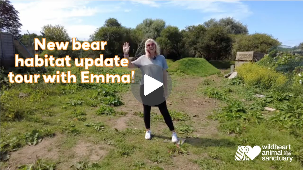 Benji and Balu habitat build update - take a tour with Emma! - YouTube