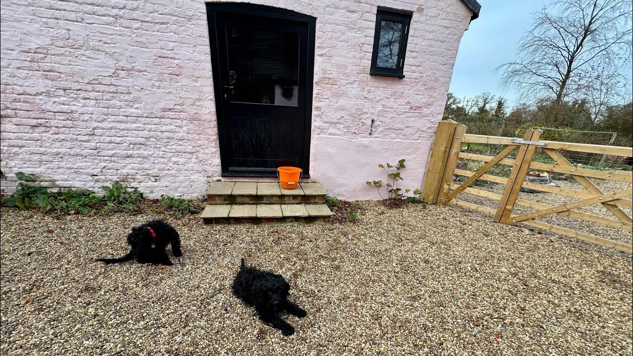 Freshen Up Friday Part 2 Clean With Kate Cleaning Windows, Vacuum, Mop ...