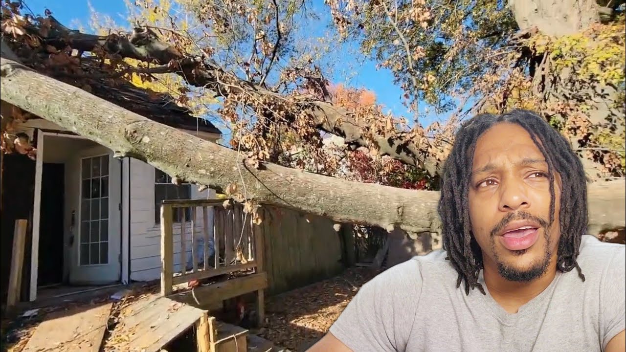 When Your House is Destroyed by a Huge Tree - YouTube