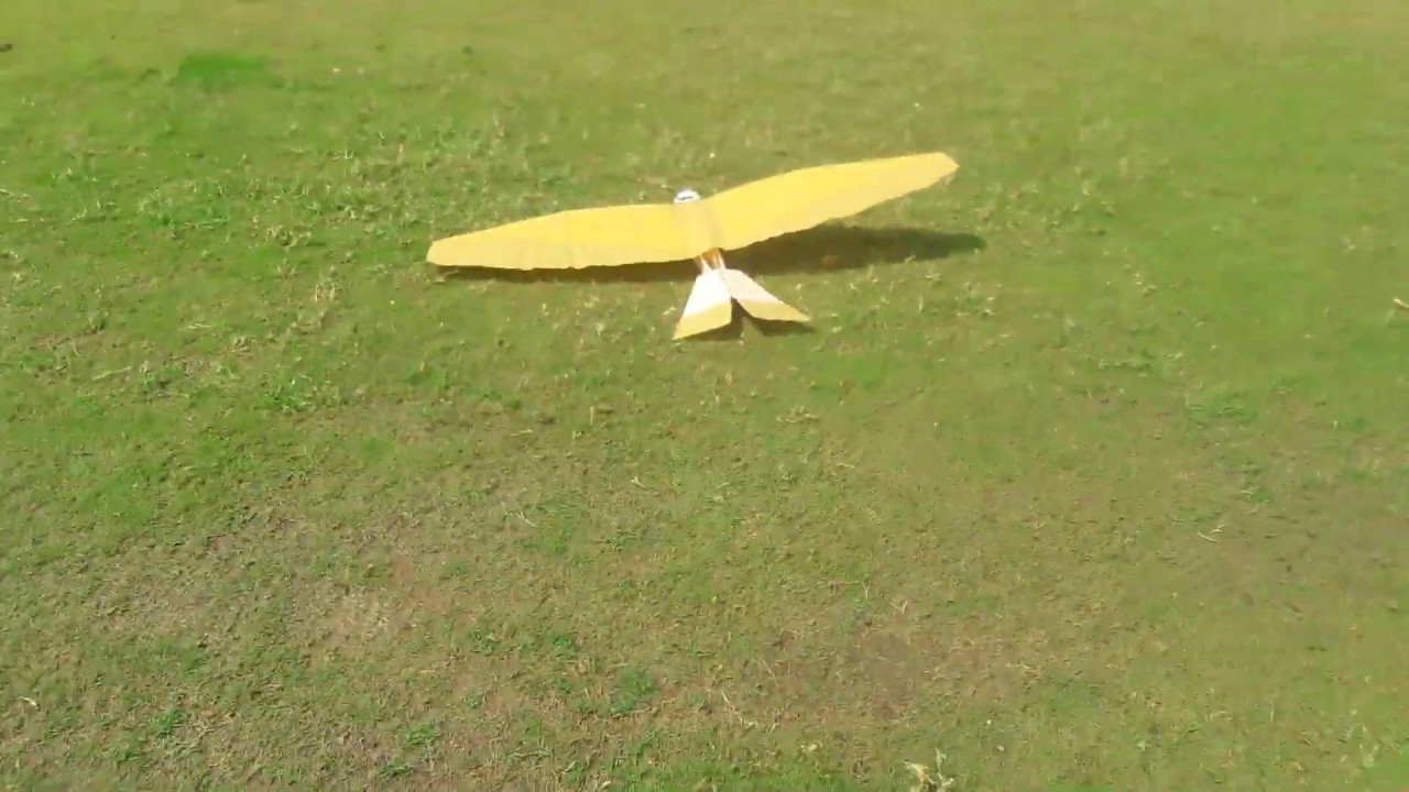DIY RC ornithopter rc bird robird - YouTube