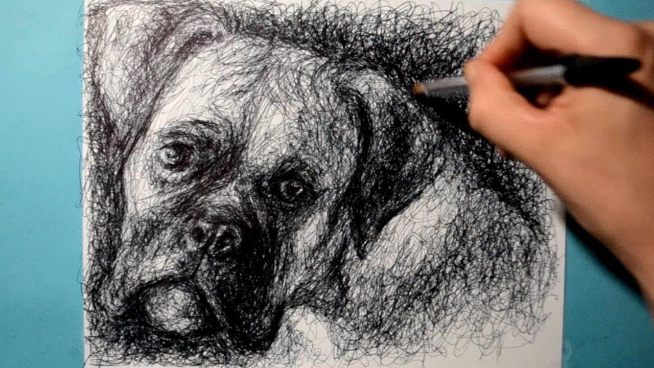Boxer Dog Ballpoint Pen Drawing / Daily Scribble Art Therapy / Day 06 ...