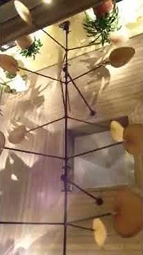 Ceiling fan at Cheddars - YouTube