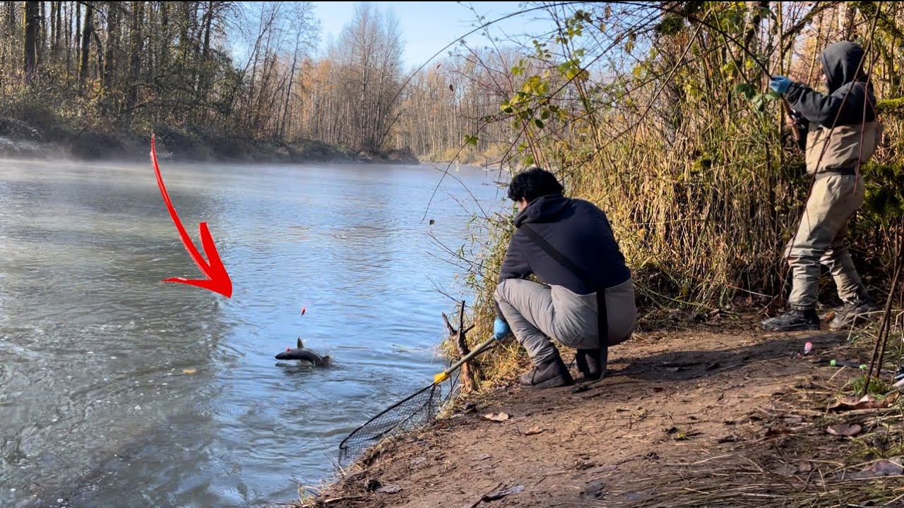 CRAZY salmon fishing action - Metzler Park Green River - YouTube
