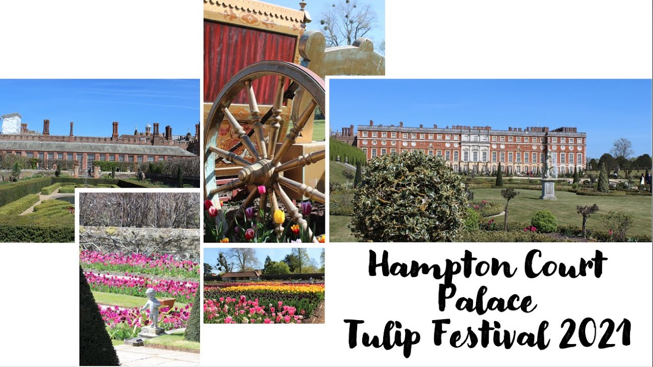 Hampton Court Palace * Tulip Festival 2021 - YouTube