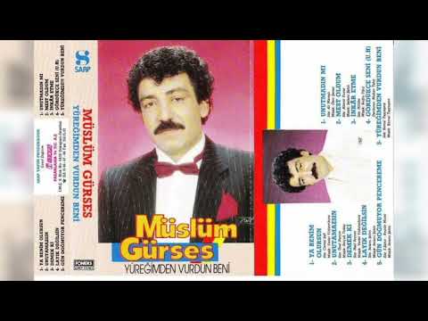 Müslüm Gürses-Mest Oldum