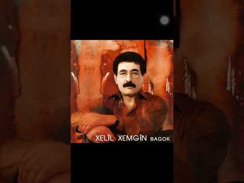 Xelil Xemgîn - Sason