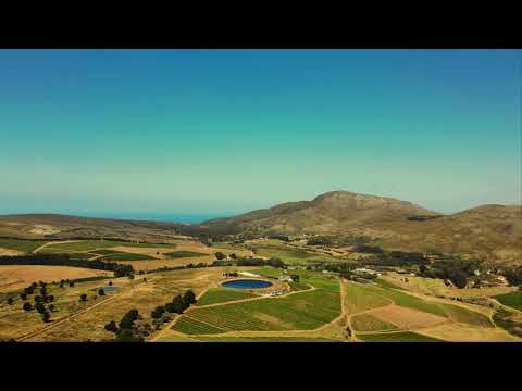 Hemel-en-Aarde Valley outside Hermanus, South Africa.
