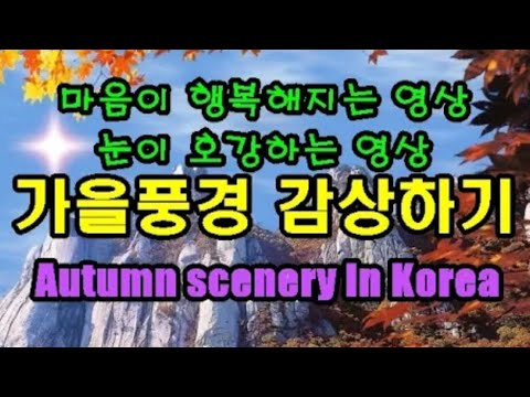 2024 한국의 가을 풍경 韓国の秋の風景 Autumn Scenery in Korea #joannatv #가을 #풍경 #부산 ...