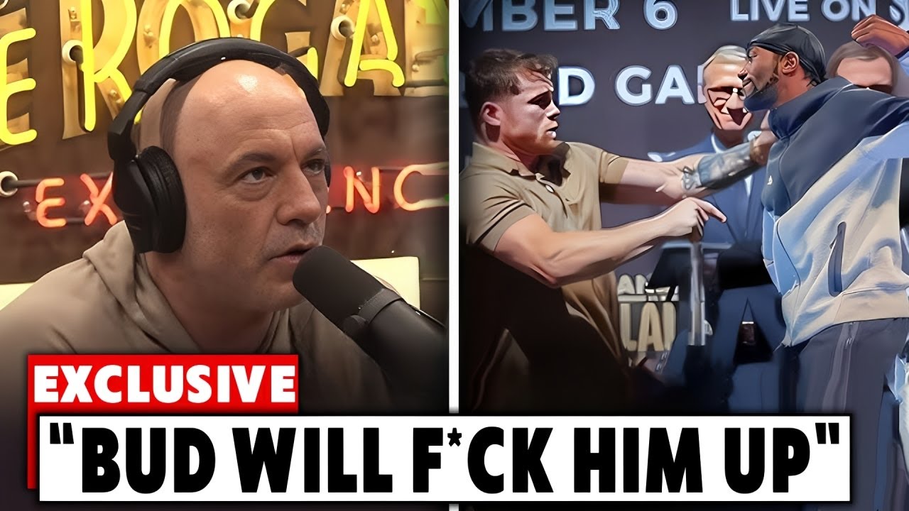 "Boxing Pros React to Canelo Alvarez & Terence Crawford’s Explosive ...