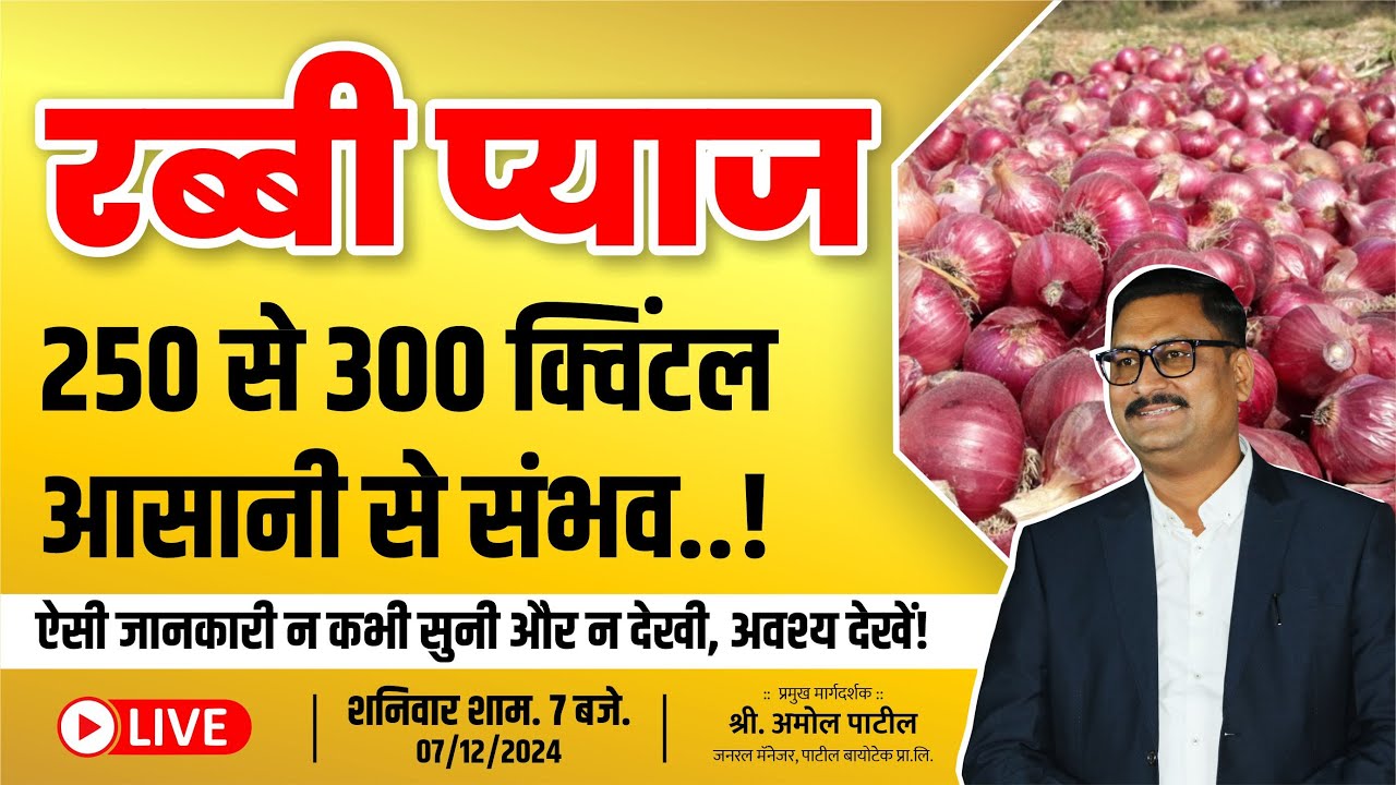 रब्बी प्याज 250 से 300 क्विंटल आसानी से संभव ! rabbi pyaj 250 se 300 ...