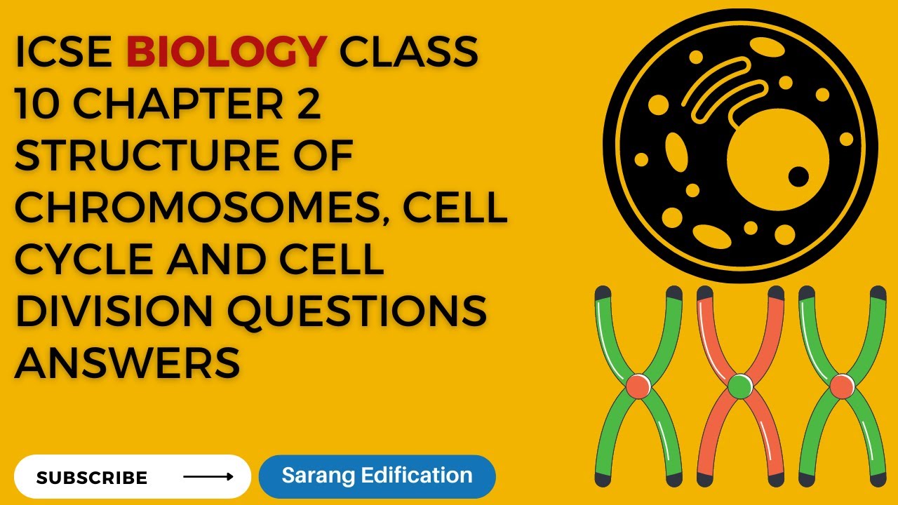 ICSE Biology Class 10 Chapter 2 Structure of Chromosomes, Cell Cycle ...