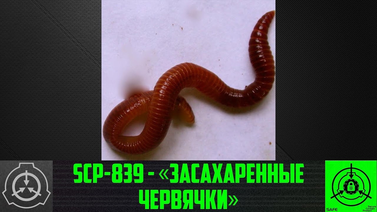SCP-839 - «Засахаренные червячки» 【СТАРАЯ ОЗВУЧКА】 - YouTube