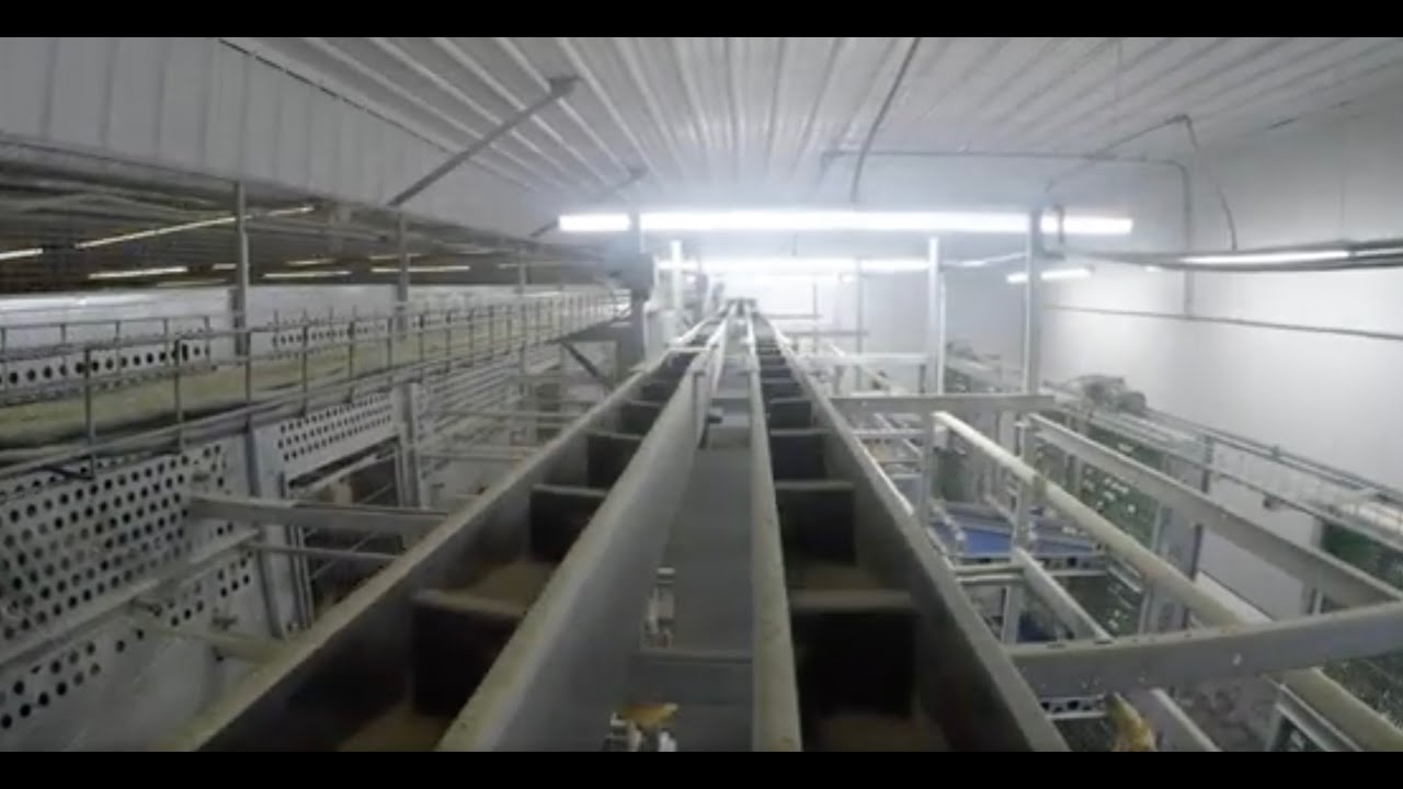 Infinifeed Loop Conveyor System from Sudenga Industries - YouTube
