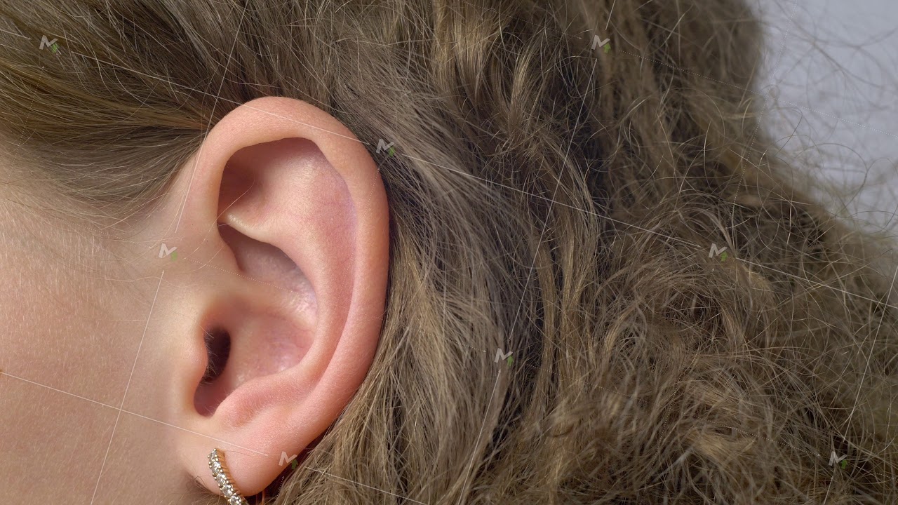 Close up left female ear with gold earring. Ear curly blond woman ...