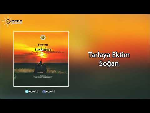 Tarlaya Ektim Soğan - Armağan Elçi
